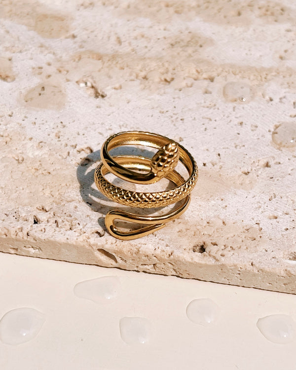 Fibi & Co 18K Gold PVD Plated Stainless Steel Hypoallergenic Waterproof ...